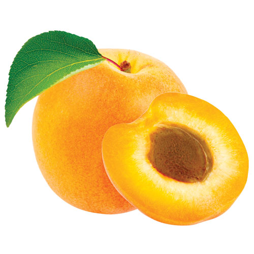 Meruňka - Ovocňák